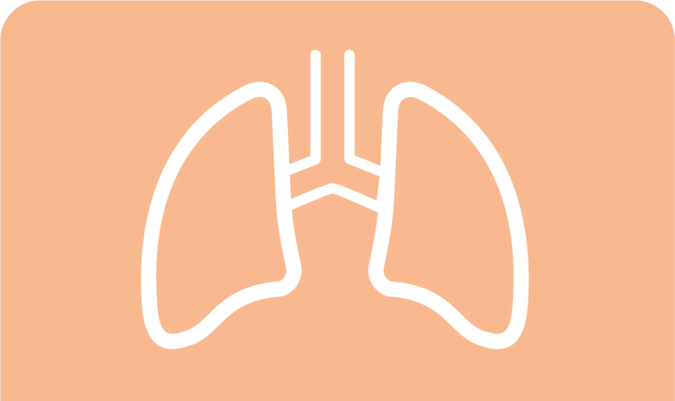 Jak se léčí rakovina | Loono